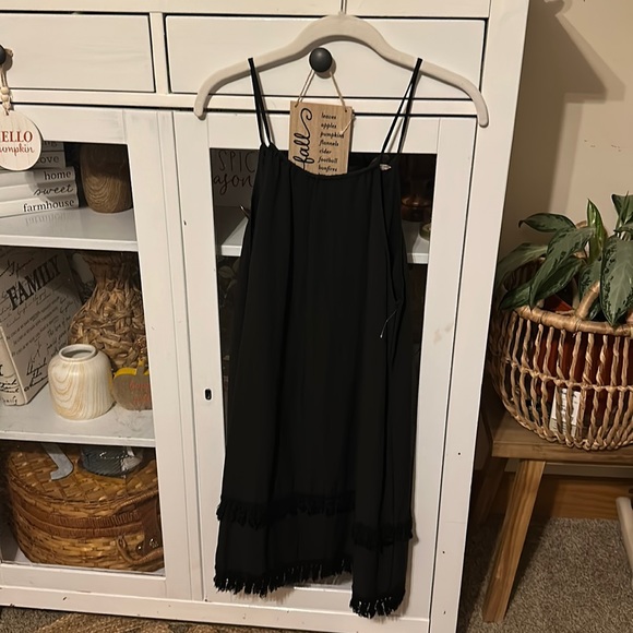 The Impeccable Pig | Dresses | The Impeccable Pig Black Fringe Dress ...